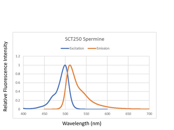 BioTracker™ Clickable Polyamine Spermine Live Cell Probe | SCT250